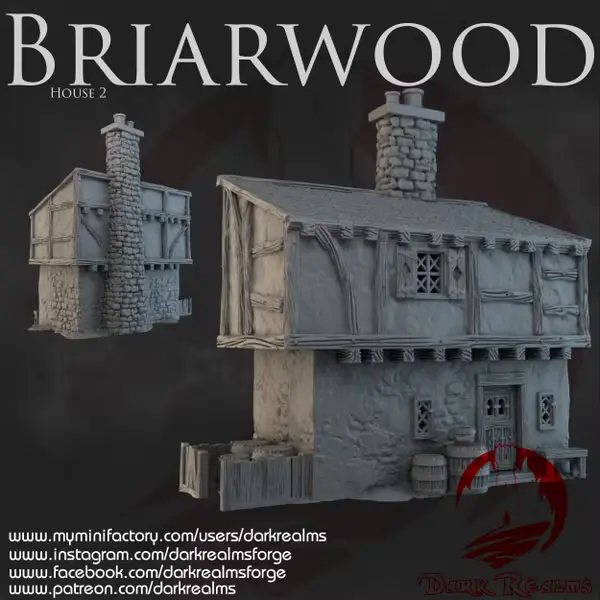 Dark realms - Dark Realms - Briarwood - Maison 2 | arakis-miniatures